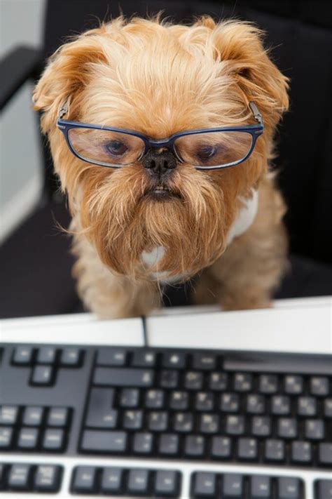 Ultimate Computer General Knowledge Questions And Answers 2025 Quiz