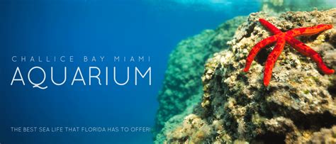 How To Create Alignment In Graphic Design