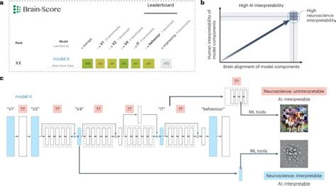 The Life Medical Podcast On Linkedin Interpretability Of Artificial Neural Network Models In