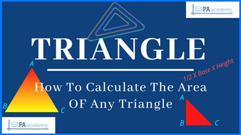 How To Calculate The Area Of Any Type Of Triangle Right Angle Equilateral Scalene Triangle