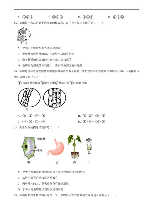 2024年中考生物专题复习：生物体的结构层次（含答案） 21世纪教育网