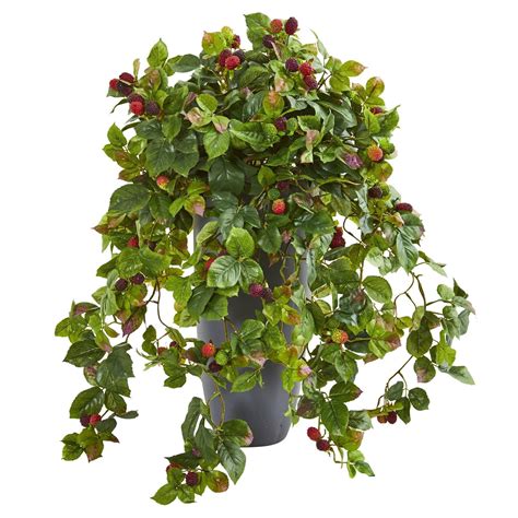 29” Raspberry Artificial Plant In Gray Planter 29” Raspberry Artificial Plant In Gray Planter