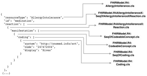 Fhir Object Model 简介 Intersystems Developer Community Intersystems Iris