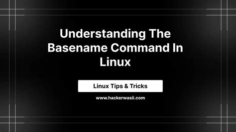 Understanding The Basename Command In Linux — Waseem Akram