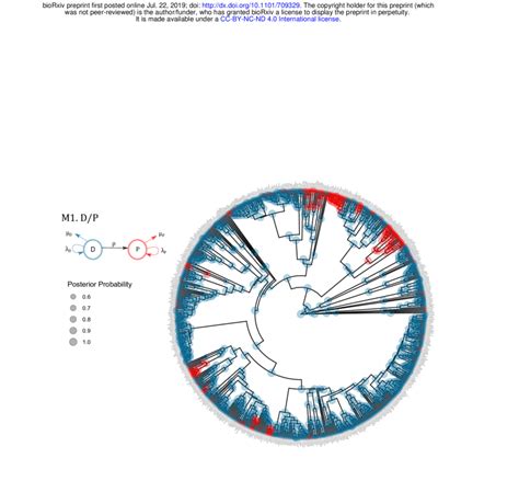 Figure S6 Ancestral State Estimation Using The Maximum A Posteriori Download Scientific