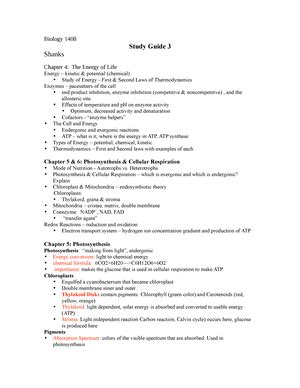 Lab DNA And RNA Answers Experiment Coding Post Lab Questions Using The Red Blue