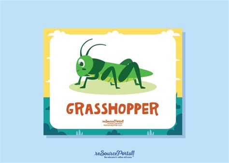 Grasshopper Guide Repo Shop