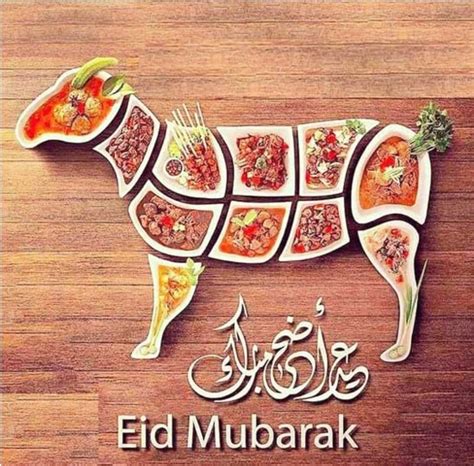 Nooruddin Mohammad Lodhi The Iconoclast Rlibrandu