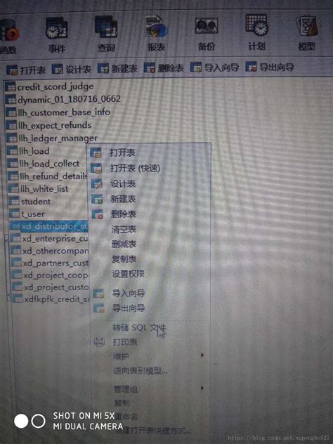 使用navicat导出mysql创建表语句navicat导出建表语句 Csdn博客