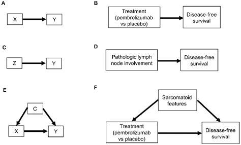 Causal Relationship Example