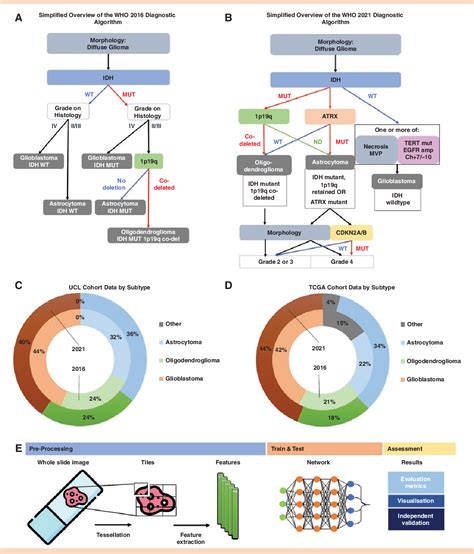 figure 1 from direct image to subtype prediction for brain tumors using deep learning semantic