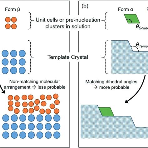 Pdf Template Induced Nucleation For Controlling Crystal Polymorphism From Molecular