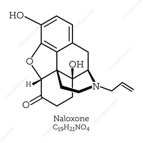 Naloxone Molecular Model Stock Image C043 0543 Science Photo Library
