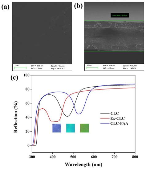 Cholesteric Liquid Crystal Photonic Hydrogel Films Immobilized With