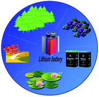 Biomass Derived Nanostructured Carbons And Their Composites As Anode Materials For Lithium Ion