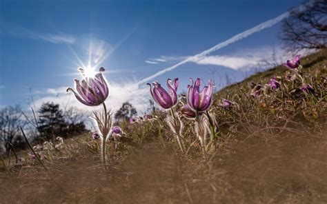 开源美图 2019 11 12 Linuxeden开源社区