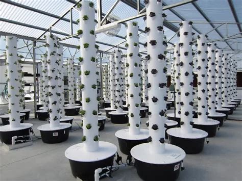 Chibuzor Obinna Okoro Posted On Linkedin