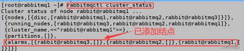 rabbitmq消息队列 学习报告 rabbitmq查看队列内容 csdn博客