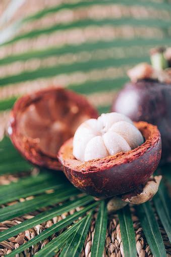 등나무 배경에 야자수 잎망고스틴 공간을 복사합니다 열대 여행 이국적인 과일 비건 및 채식주의 개념 0명에 대한 스톡 사진 및