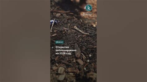Центр здоровых семян для повышения урожайности создадут в Казахстане Kazinform қазақпарат