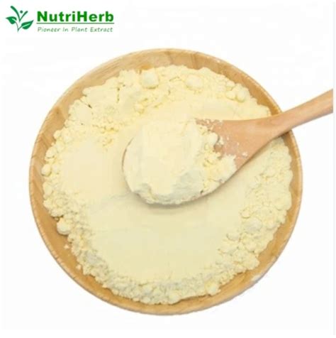 Bulk Supply Psyllium Seed Husk Extract Psyllium Husk Powder Psyllium