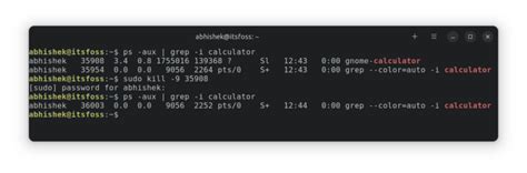 31 Basic Yet Essential Ubuntu Commands