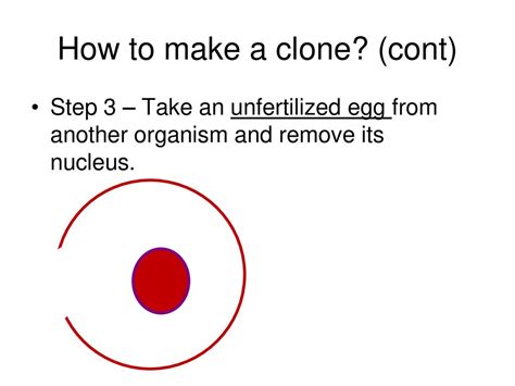 Aim How Would We Clone A Human Ppt Download
