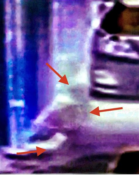 The Invert Filter Ps Express Rlegendarycreaturesdoc