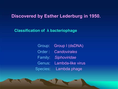Lambda Str And Life Cycleppt