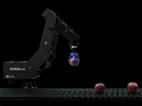 Home Dorna Robotics