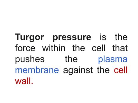 2 Osmotic Pressure Osmotic Potential Turgor Pressure Wall Pressure