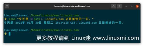 Bash 中的 和 有什么区别linux的bash命令中 和1 的区别 Csdn博客
