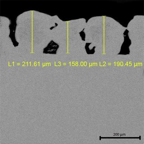 Scanning Electron Micrographs Of The Section Of The Sample Produced By