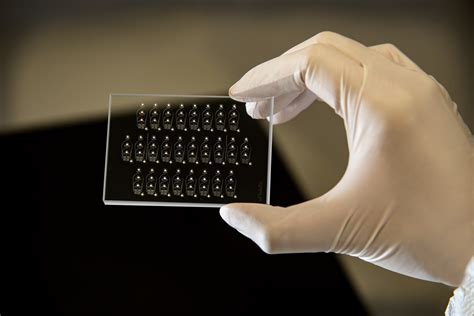 Microfluidic Chips For Single Cell Analysis And Isolation Ufluidix