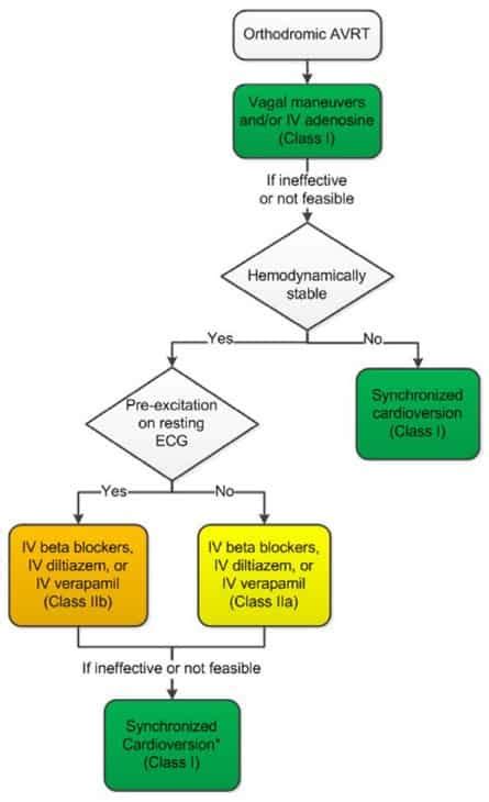 Apakah Itu Supraventricular Tachycardia SVT Diagnosis Dan Tatalaksana SVT ACC AHA HRS 2015