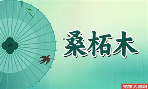 桑柘木命的人命中带偏官运会怎样，婚后易出轨？易学大师算命网