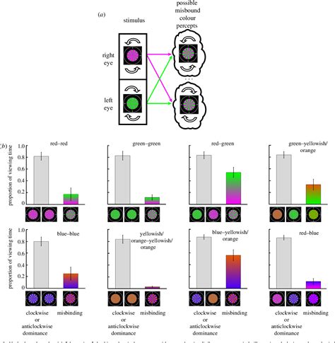 Figure 1 From Colour Misbinding During Motion Rivalry Semantic Scholar