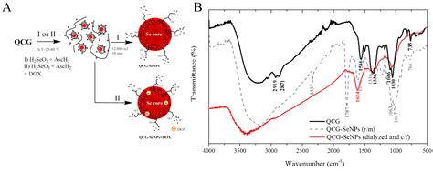 Synthesis Of Selenium Nanoparticles Modified By Quaternary Chitosan Covalently Bonded With