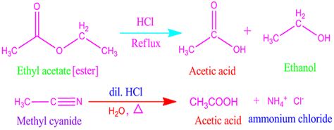 What Is Hydrolysis Reaction In Chemistry With Examples Chemsolve Net