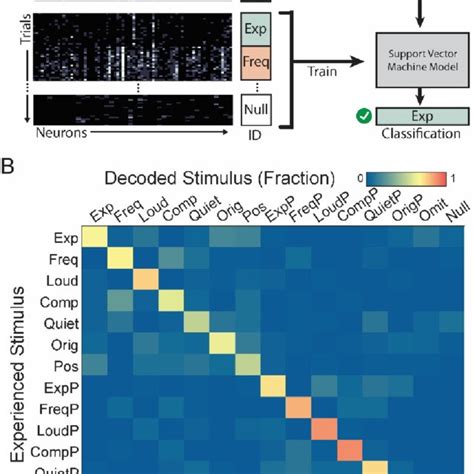 auditory cortex neurons can detect and classify self generated sounds