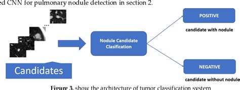 Figure 1 From Detection Of Lung Nodules On Ct Images Based On The Convolutional Neural Network