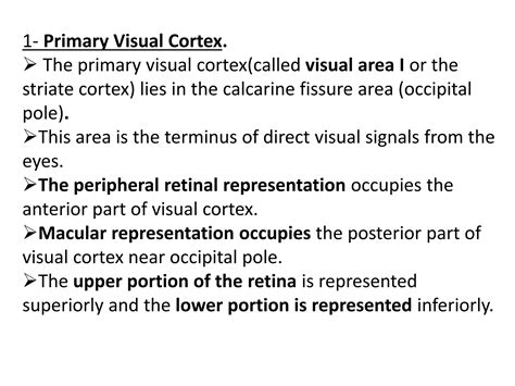 Visual Pathway Visual Cortex And Hemianopias PPTX