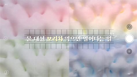 물 대신 보리차 먹으면 좋을까 물 대신 보리차 마시면 벌어지는 일 5가지 보리차 먹으면 좋은 효능 5가지 시리즈 액괴 액괴시리즈 시액 액시 소시액