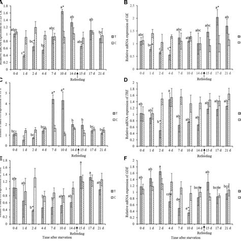 The Expression Of Glucose Metabolism Rate Limiting Enzyme In The Download Scientific Diagram