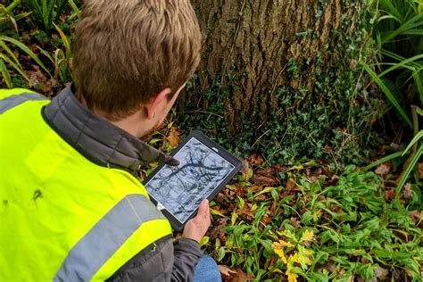 Tree Plotter Innovates Tree Risk Assessments TEP The Environment PartnershipTEP The