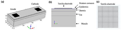 Finite Element Model Of Dry Textile Electrode Three Dimensional View