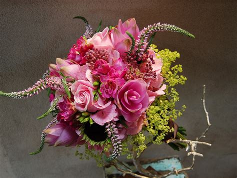 С Днем Самые Необычные Картинки – Telegraph