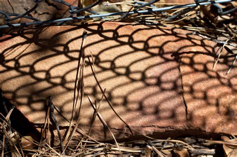 무료 이미지 나무 자연 분기 목재 잎 가을 그림자 흙 시즌 자료 닫다 우디 식물 2376x1581 358254 무료 이미지 Pxhere