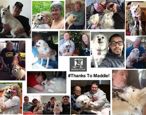 Heidi K Ortmeyer Ortmeyerheidi Twitter