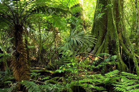 La Selva